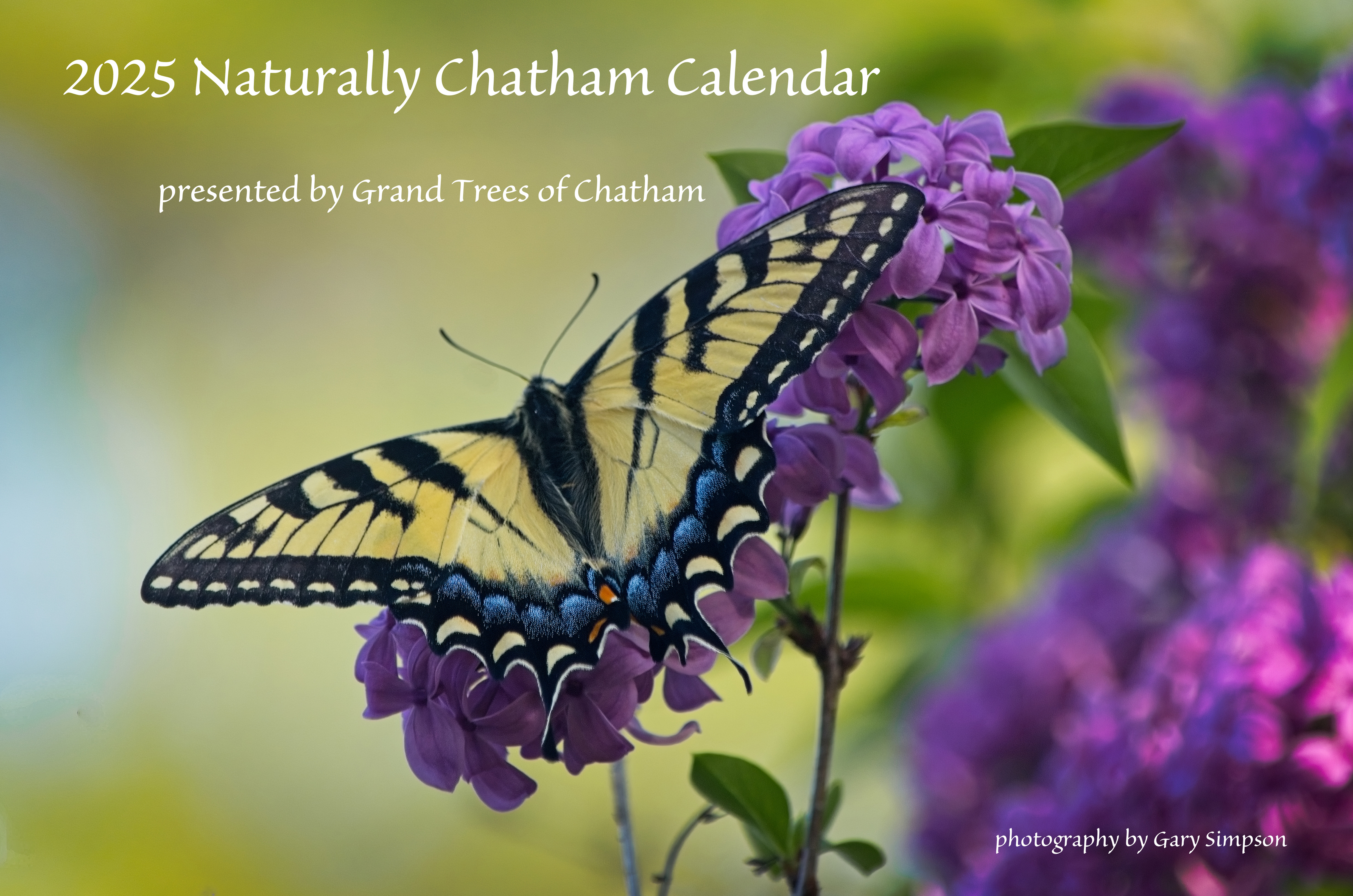 Naturally Chatham 2025 Calendar Available Now – Grand Trees of Chatham
